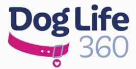 Stunning Specialist Pet Photography For Dogs, Horses and All Animals